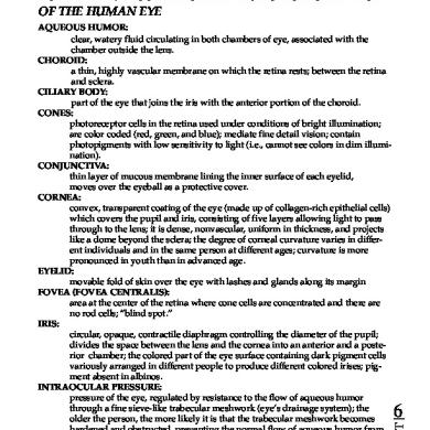 human eye [PDF] | Documents Community Sharing