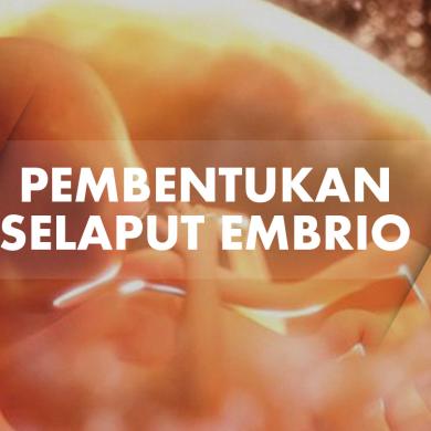 Presentasi Pembentukan Selaput Embrio [PDF] | Documents Community Sharing